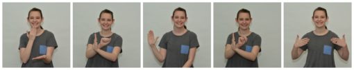 Functional Sign Language for Music Therapists | CMTE Course